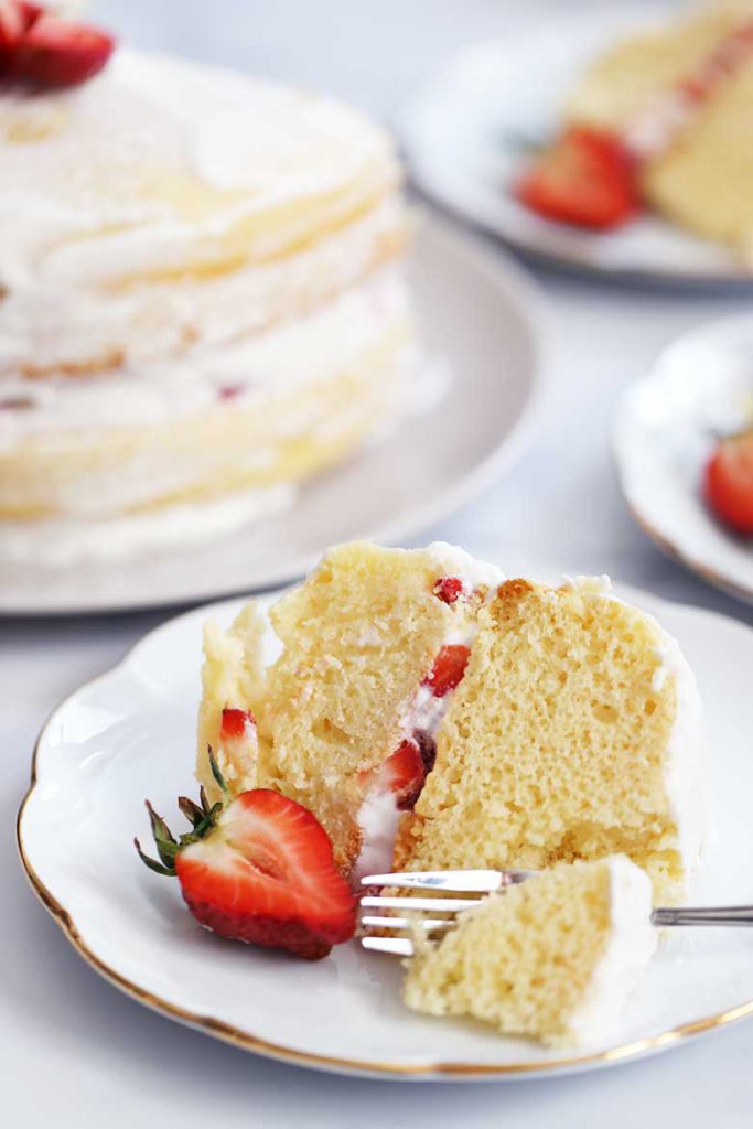 Simple and Easy Sponge Cake Recipe