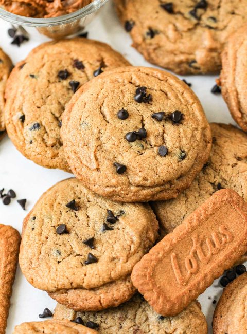 Lotus Biscoff Mousse Recipe (3-Ingredient)